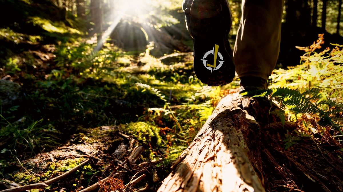 Les plus beaux sentiers de randonnée en forêt - outdoor - Expéditions ...