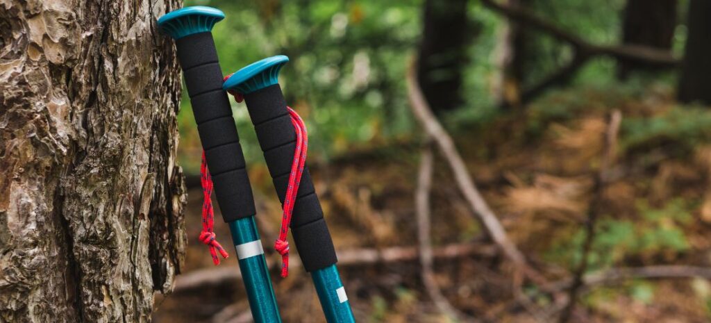 Comment choisir des bâtons de marche en randonnée - OutWild ...