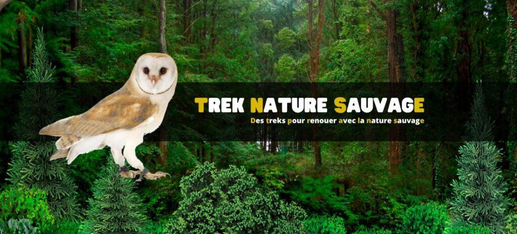 Des treks pour renouer avec la nature sauvage - outdoor - Expéditions ...